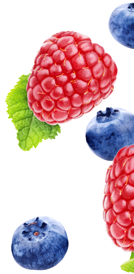 Fynbo Foods – Økologisk og Fairtrade marmelade