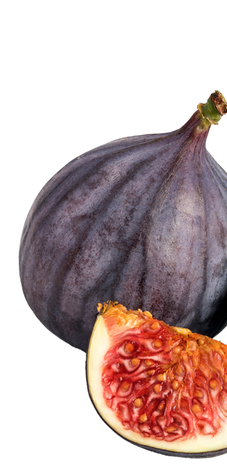 Fynbo Foods – Økologisk og Fairtrade marmelade